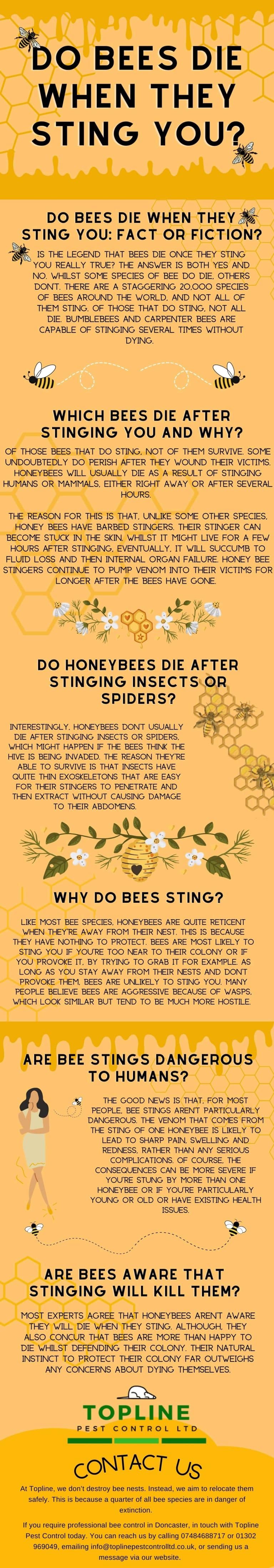 Do bees die when they sting you? [Infographic] | Topline Pest Control